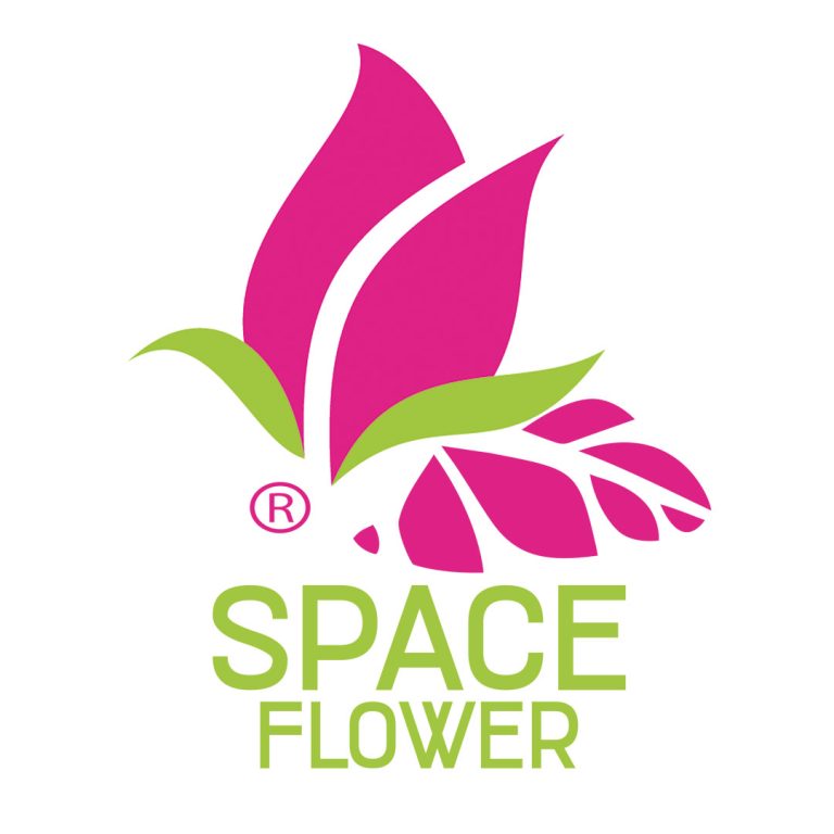 Space Flower | MILLENNIUM City