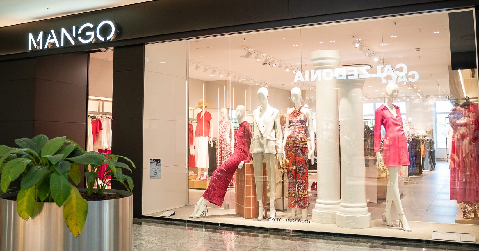 Mango | MILLENNIUM City